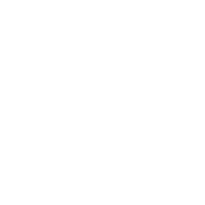 MNK Group – MNK Partners