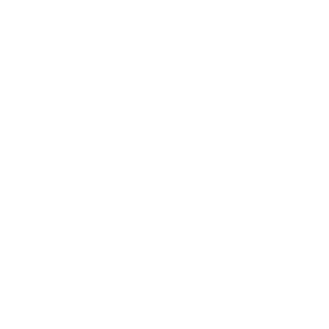 MNK Group – MNK Partners