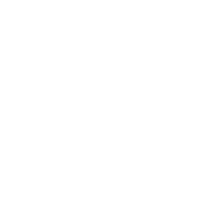 MNK Partners
